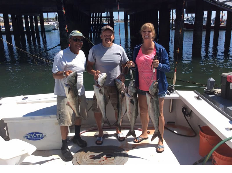 Beautiful Weather..Lots of BIG Fish | Ginny G Cape Cod Fishing Charters